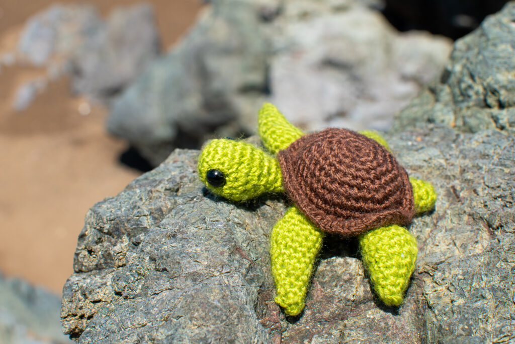 Sea Turtle Amigurumi Keychain Pattern - Wayward Pineapple Creations